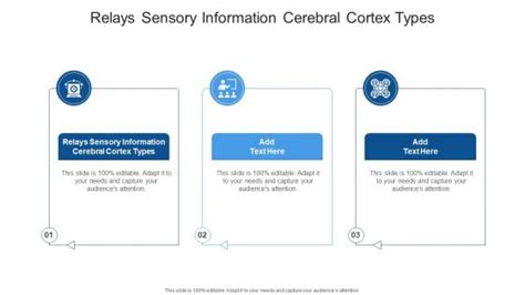 Relays Sensory Information Cerebral Cortex Types PowerPoint Templates