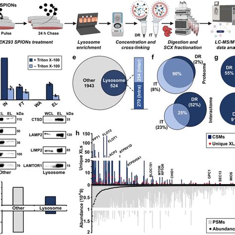 Cross Linking Mass Spectrometry Analysis Of Lysosome Enriched Download Scientific Diagram