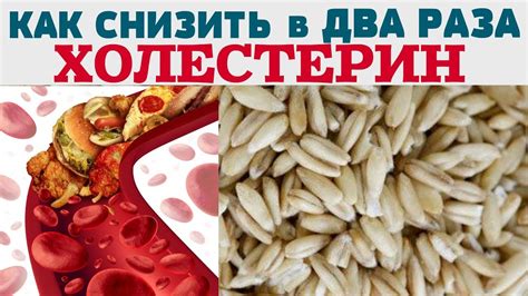 КАК СНИЗИТЬ УРОВЕНЬ ХОЛЕСТЕРИНА Избавиться от ХОЛЕСТЕРИНА в домашних