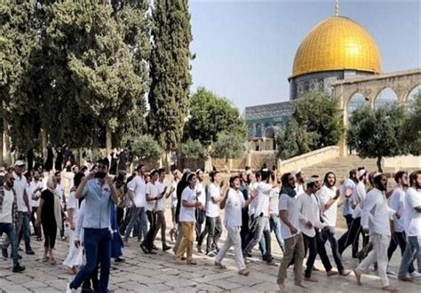 واکنش به فیلم شبیه سازی تخریب مسجد الاقصی از سوی صهیونیست ها تسنیم