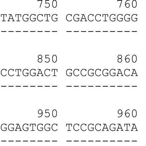 Alignment Of The Hla‐c 12 365 Allele Exon 3 Sequence Compared To The