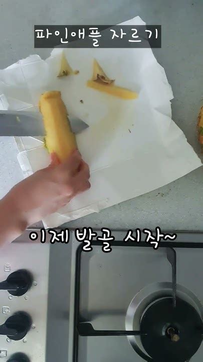 파인애플 자르기파인애플 커팅 Youtube