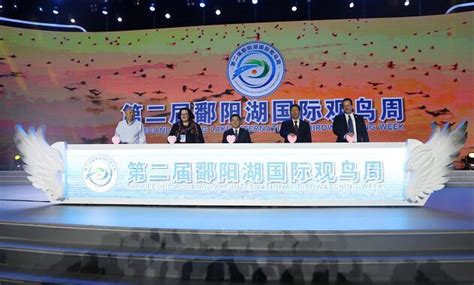 鹤舞鄱湖 牵手世界 第二届鄱阳湖国际观鸟周在“中国候鸟小镇”吴城开幕凤凰网江西凤凰网