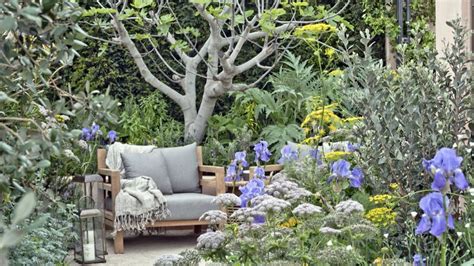 When To Prune Mophead Hydrangeas For The Best Flowers Homes And Gardens