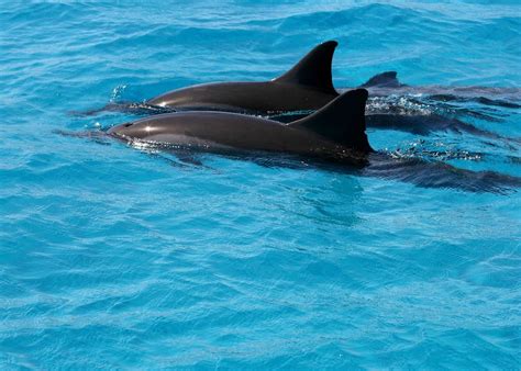 Voyages Initiatiques Florence Beliard