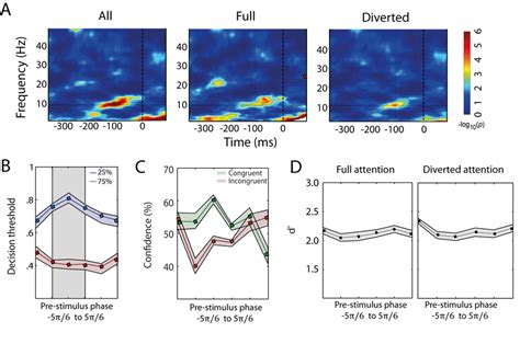 EEG Results A Time Frequency Representation Of Phase Opposition Download Scientific