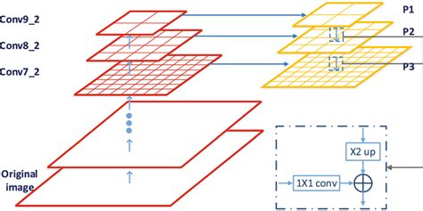 Illustration Of The Bottom Up And The Top Down Pathway In Our Feature Download Scientific
