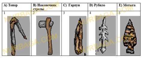 История Казахстана 5 класс Стоянки эпохи камня на территории Казахстана ответ на СОР СОЧ БЖБ ТЖБ