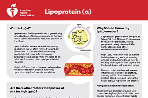 Lipoprotein A American Heart Association
