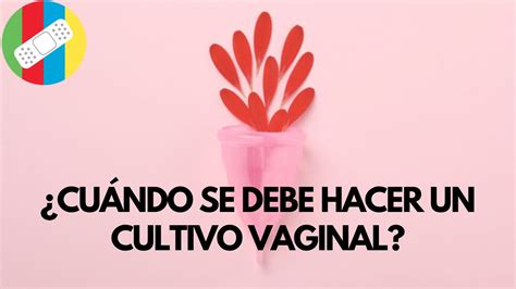 ¿cuándo Se Debe Hacer Un Cultivo Vaginal Youtube
