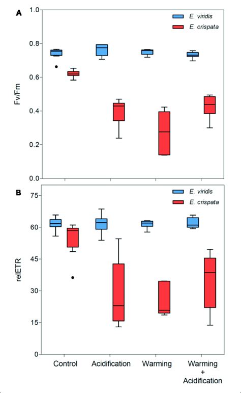 Effects Of Ocean Warming And Acidification On The Photobiology Of Download Scientific Diagram