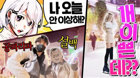 살아 움직이는 설백이랑 하루 종일 데이트 Youtube