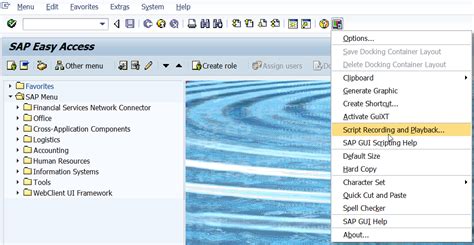 python 3 x sap gui how to find findbyid stack overflow