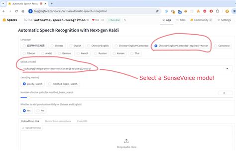Huggingface Space — Sherpa 13 Documentation