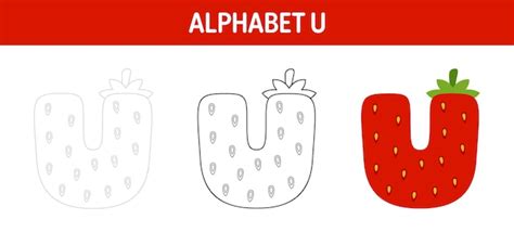 아이들을 위한 알파벳 U 추적 및 채색 워크시트 프리미엄 벡터
