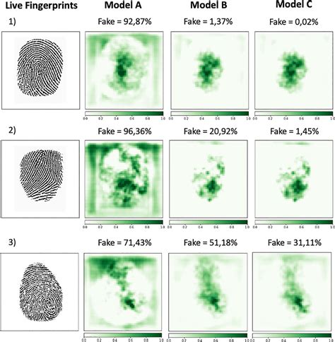 Occlusion Method On The Proposed Approach Stages A Live Fingerprint Download Scientific