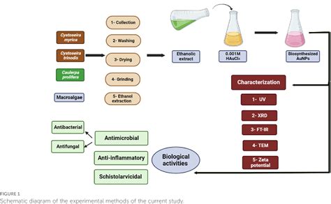 Figure 1 From In Vitro Assessment Of Antimicrobial Anti Inflammatory And Schistolarvicidal