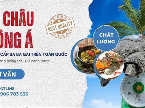 Tô Châu Đông Á Chuyên Bán Ba Ba Gai Sông Mã Toàn Quốc › Tin Tức