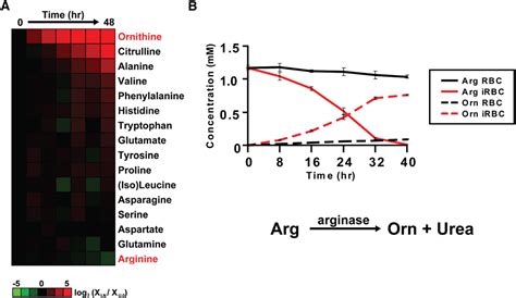Figure 2 From Host Parasite Interactions Revealed By Plasmodium
