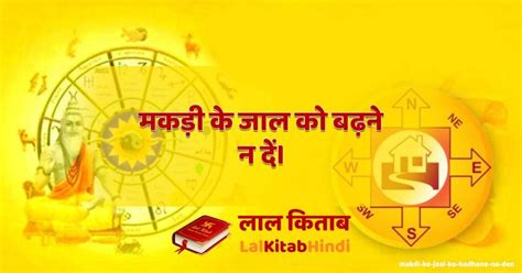 मकड़ी के जाल को बढ़ने न दें। Makdi Ke Jaal Ko Badhane Na Den