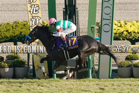 【菊花賞】ドゥレッツァ 3馬身半差の圧勝v！皐月賞馬＆ダービー馬を打ち破る『怖いもの知らず』な走り ライブドアニュース