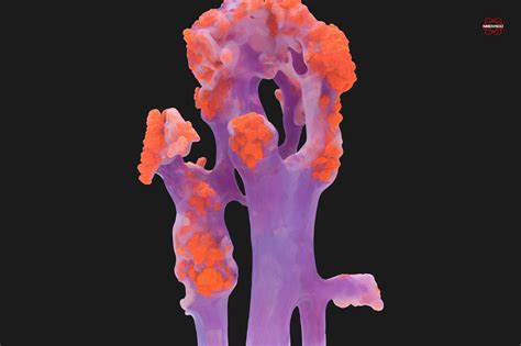 Biomorphic Futurism Vol03 Graphic Objects ~ Creative Market