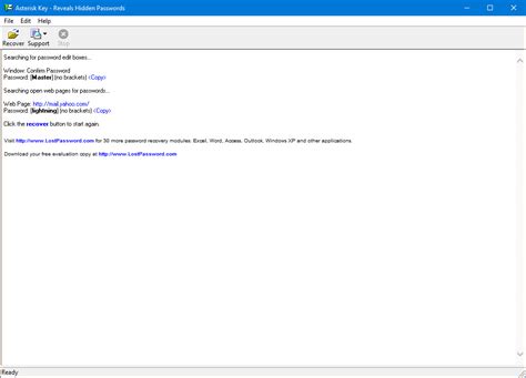 Asterisk Key Reveals Passwords Hidden In Dialog Boxes And Web Pages