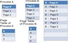 Memory Management Paging I Operating System