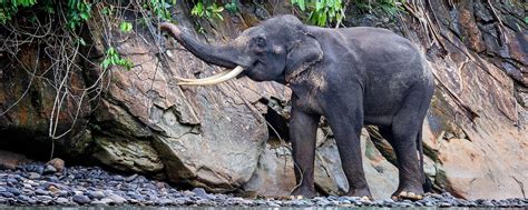 The Immutable Future Of Postgresql Extensions In Kubernetes With Cloudnativepg · Unleashing The