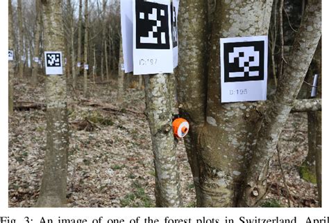 figure 3 from tree instance segmentation and traits estimation for
