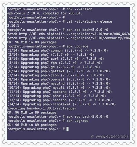 10 Alpine Linux Apk Command Examples Ralpinelinux