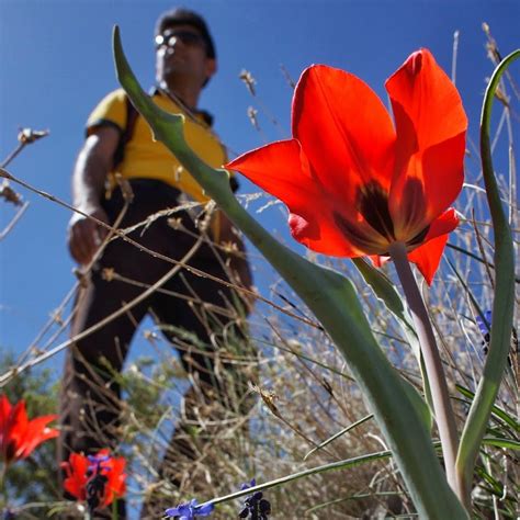 محمد حسین پاک طینت Youtube