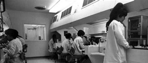 Intel Currently Developing 14nm Aiming Towards 5nm Chips Cpu News