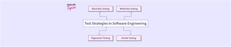 Software Testing Strategies Scaler Topics