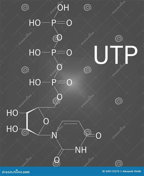 Uridine Triphosphate Utp Nucleotide Molecule Building Block Of Rna Skeletal Formula Vector