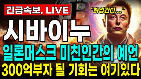 코인분석 시바이누 일론머스크 미친 인간의 예언 300억 부자 될 기회는 여기에 있다 Youtube