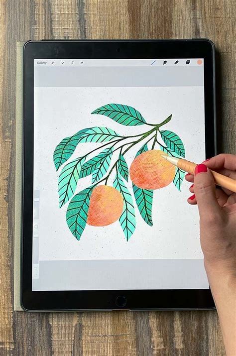 Illustrating With Layered Texture And Color In Procreate Free