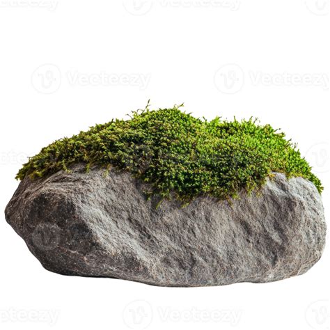 moss covered stone with natural texture transparency 53687127 png