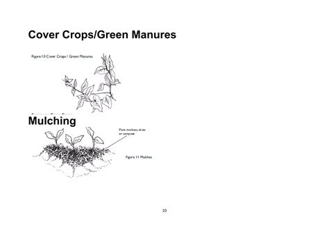 Methods Of Water Conservation Pdf