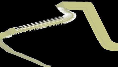 Automatic Surface From Grading Group Looks Crazy Autodesk Community