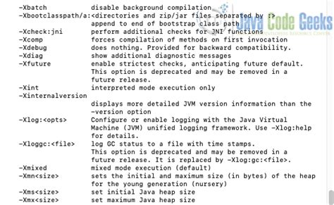 Java Jvm Arguments Prefixes Java Code Geeks