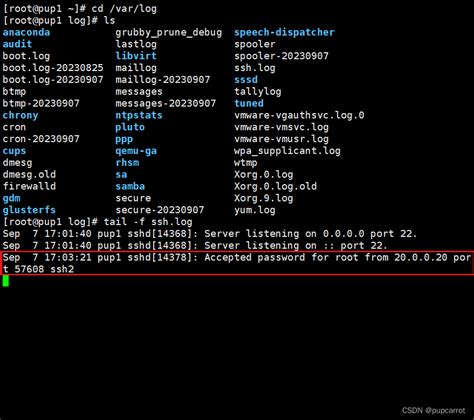 Linux文件系统与日志分析linux Journal存储原理 Csdn博客