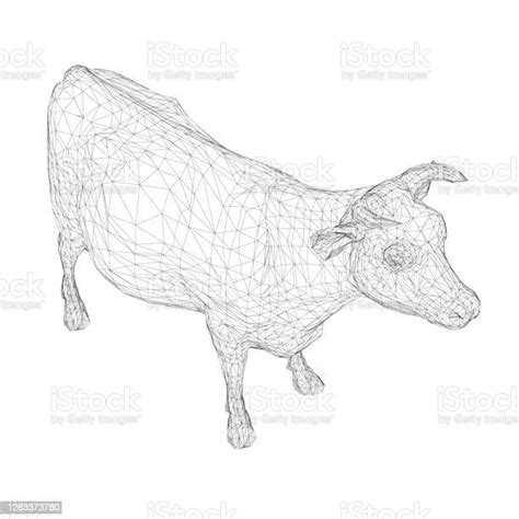 흰색 배경에 검은 라인에서 소의 와이어 프레임 등등 측정 보기 3d 벡터 일러스트레이션 암소에 대한 스톡 벡터 아트 및 기타 이미지 Istock