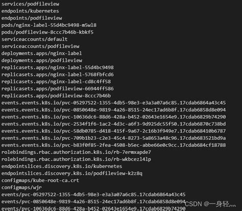 K8s查看命名空间下所有资源查看名称空间下所有资源 Csdn博客 K8s查看命名空间下所有资源查看名称空间下所有资源 Csdn博客