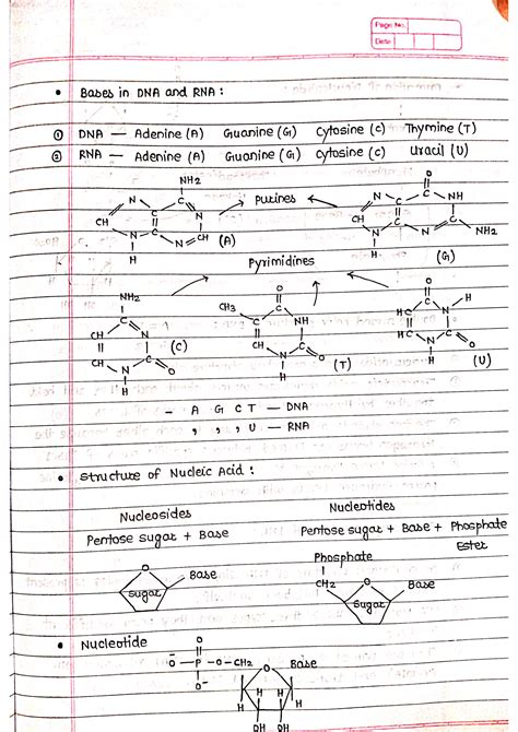 Biomolecule Chemistry Short Handwritten Notes [pdf]📚
