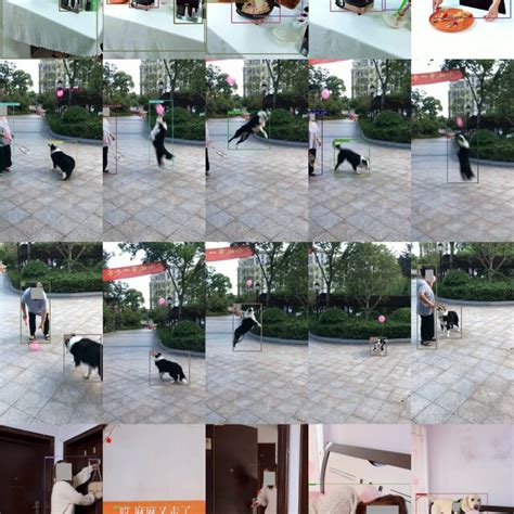 Visualization Of The Detection Results Odd Rows And Reidentification Download Scientific