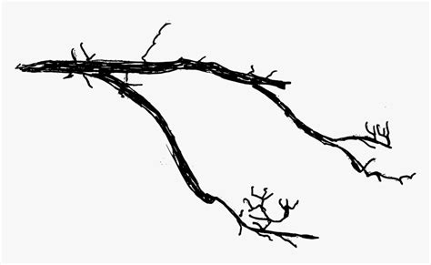 Tree Branch Clip Art Black And White Free Sitelip Org