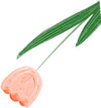这个春天四大公交服务让您种草绿色出行 菏泽 乘客 优惠