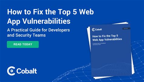 How To Fix The Top 5 Web App Vulnerabilities Cobalt