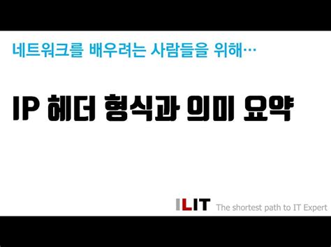 IP헤더 형식과 의미 요약